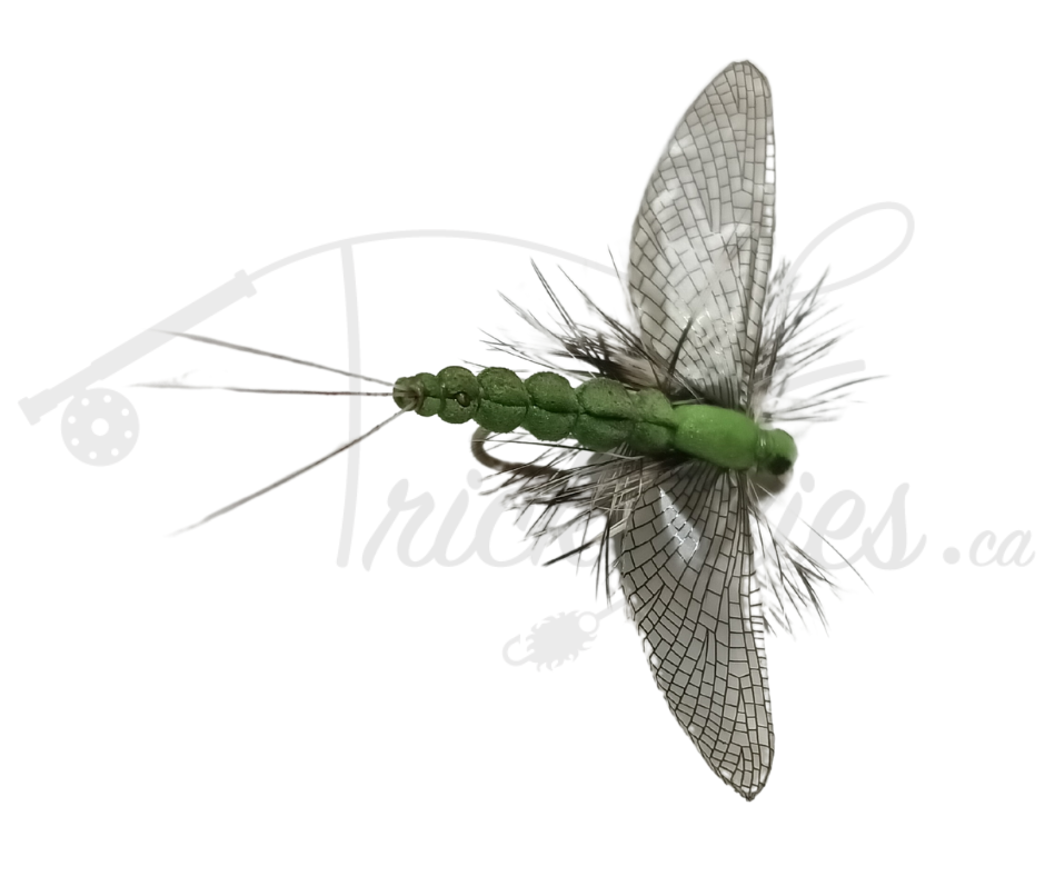 Realistic Spent Mayfly Green – Trickflies.ca Inc.