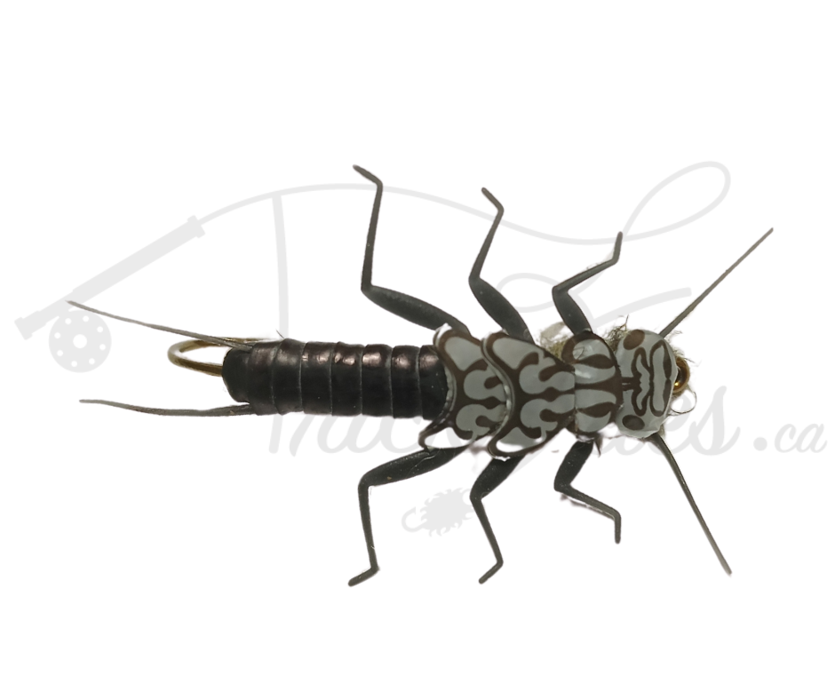 Realistic Stonefly Nymph Black – Trickflies.ca Inc.